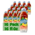Snapple Zero Sugar Peach All Natural Fruit Juice Drink, 16 fl oz ...