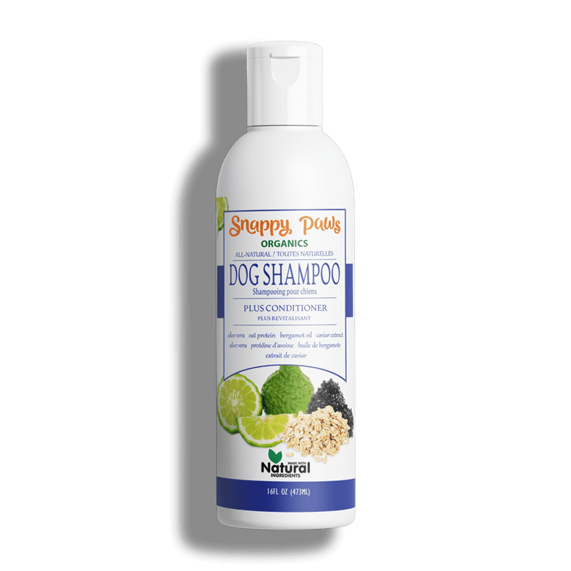 Snappy Paws, Dog Shampoo Plus Conditioner, 16oz Bottle - Walmart.com