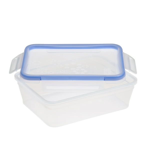 Snapware Plastic Storage Boxes