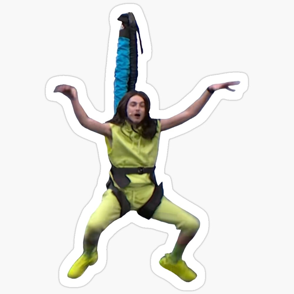 Snl Bungee Sticker Phone Decal Water Bottle Stickers Car Decals, Laptop ...