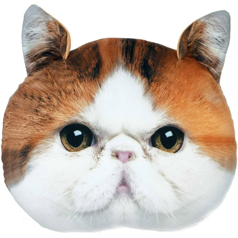 Snoopy The Cat And Grumpy Cat