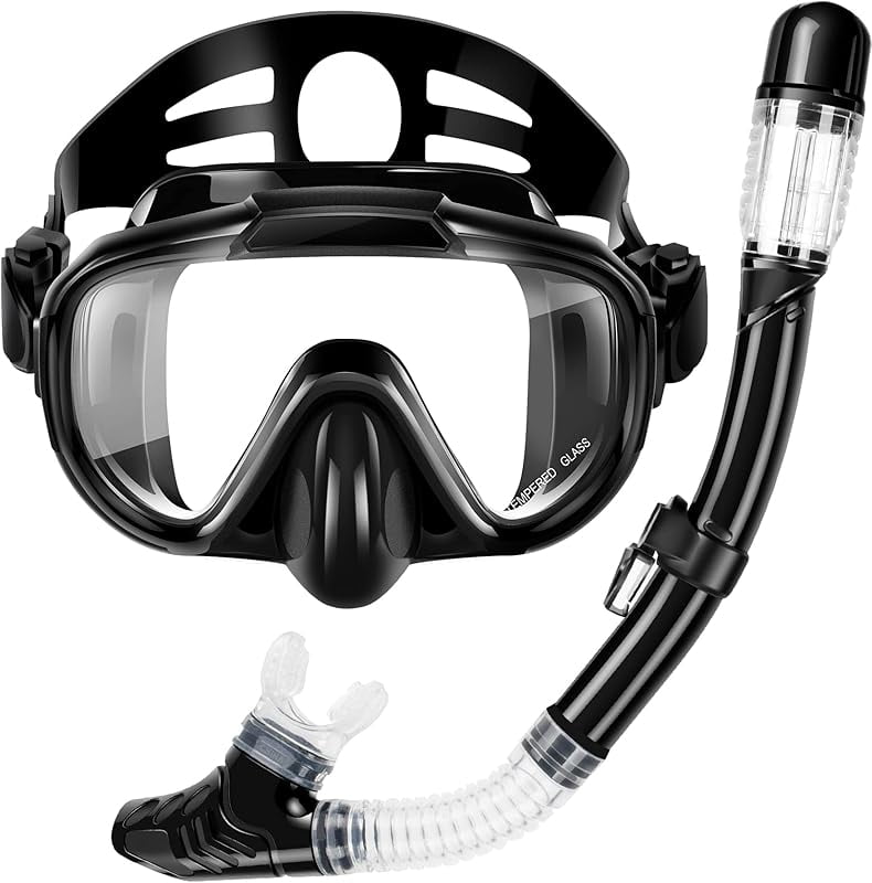Snorkeling Gear for Adults, Dry Top Snorkel Set with Panoramic Anti ...