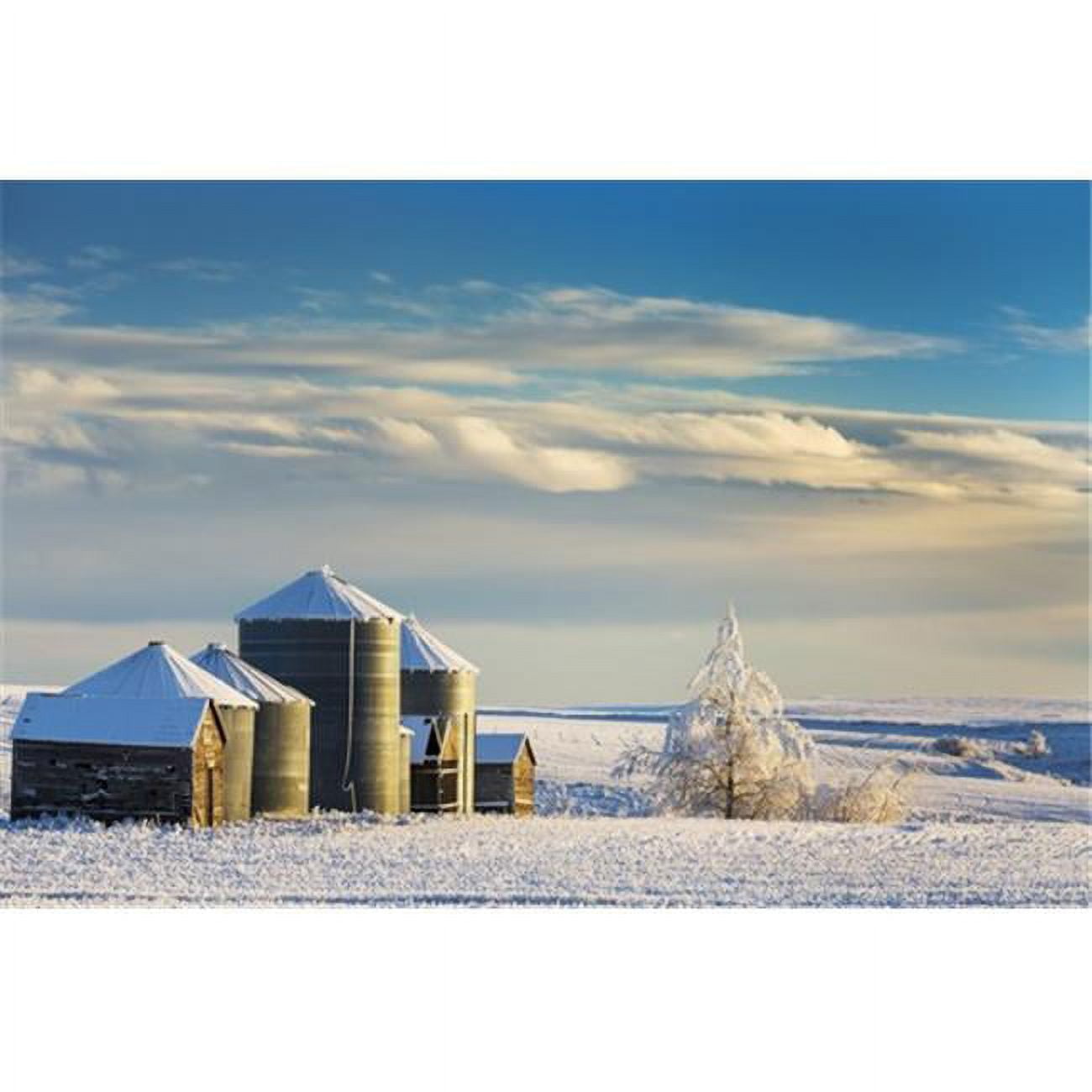 Snow Covered Metal & Wooden Grain Bins with Frosted Trees Bushes ...