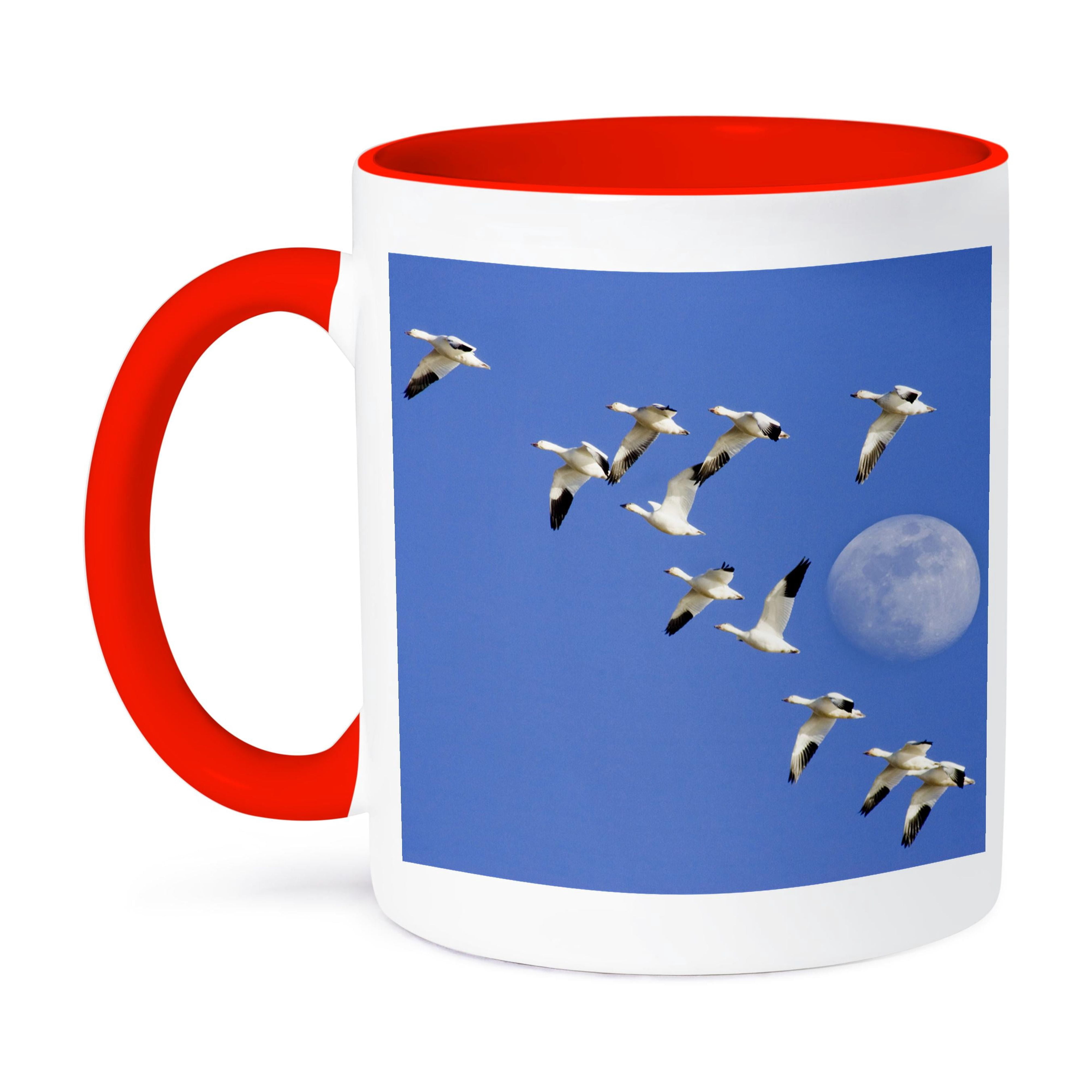Snow Geese, Birds, Freezeout Lake Nwr, Montana - Us27 Cha0949 - Chuck ...
