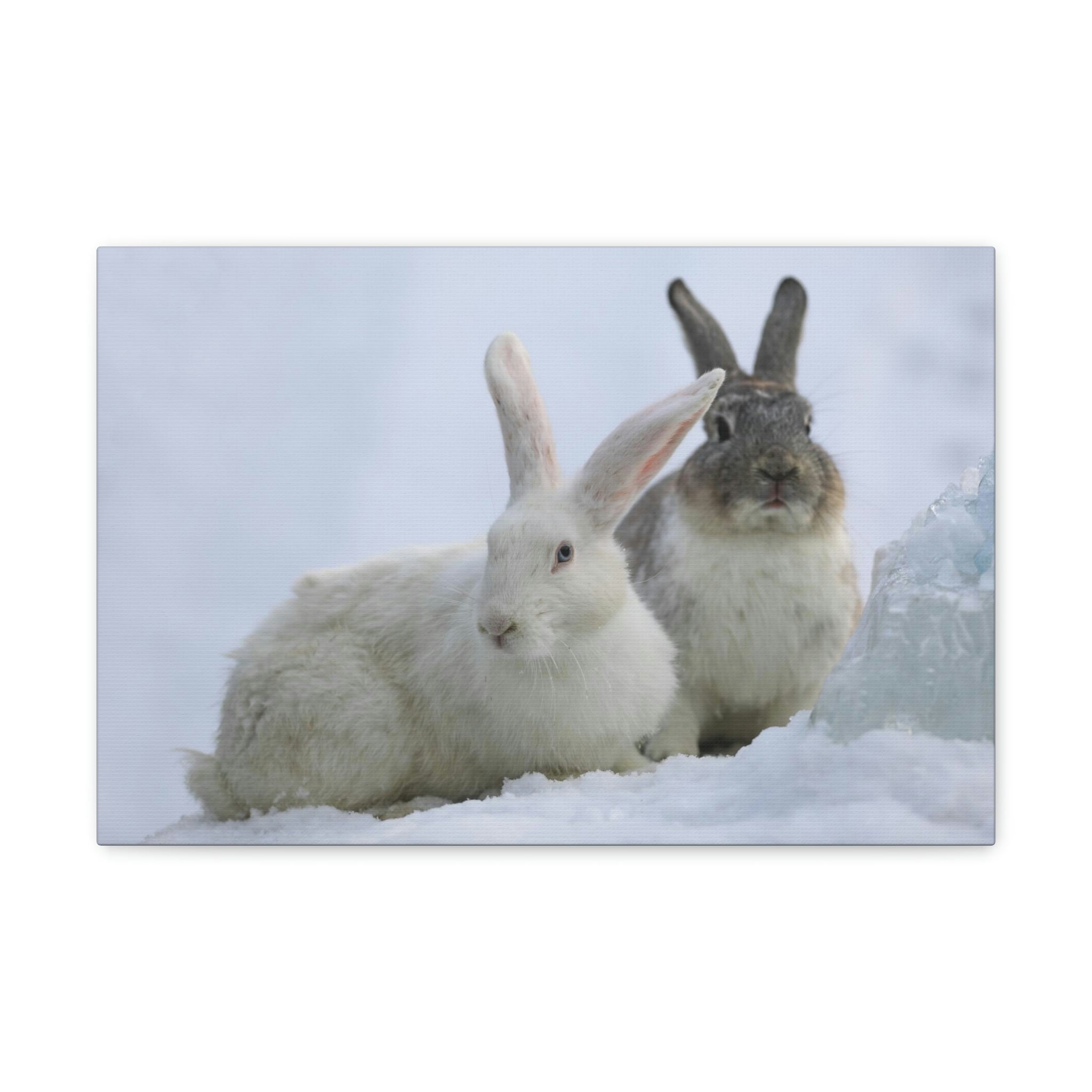 Snow Hare Couple Snow Hare Couple Print Animal Wall Art Wildlife Canvas ...
