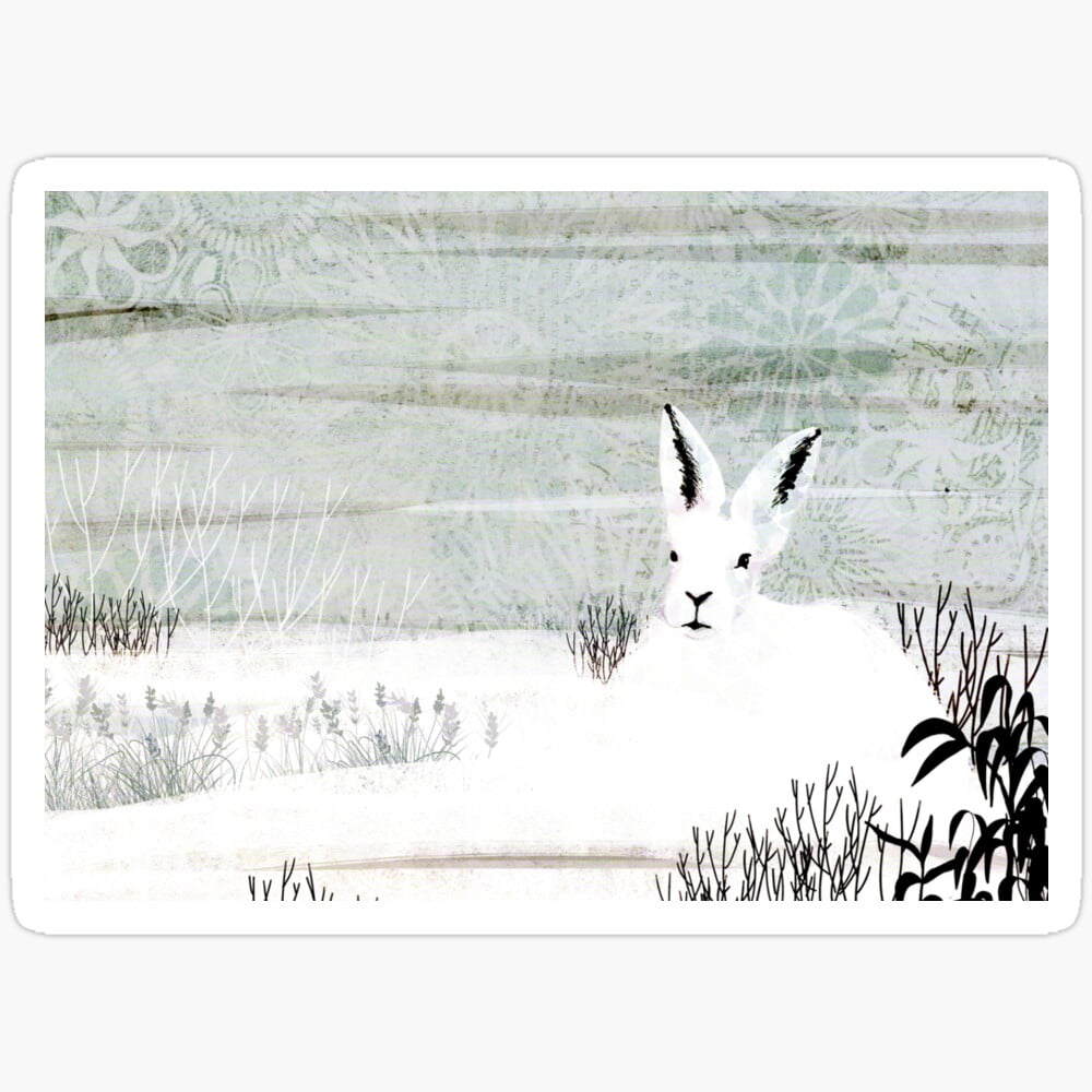 Snow Hare Sticker Phone Decal Water Bottle Stickers Car Decals, Laptop ...