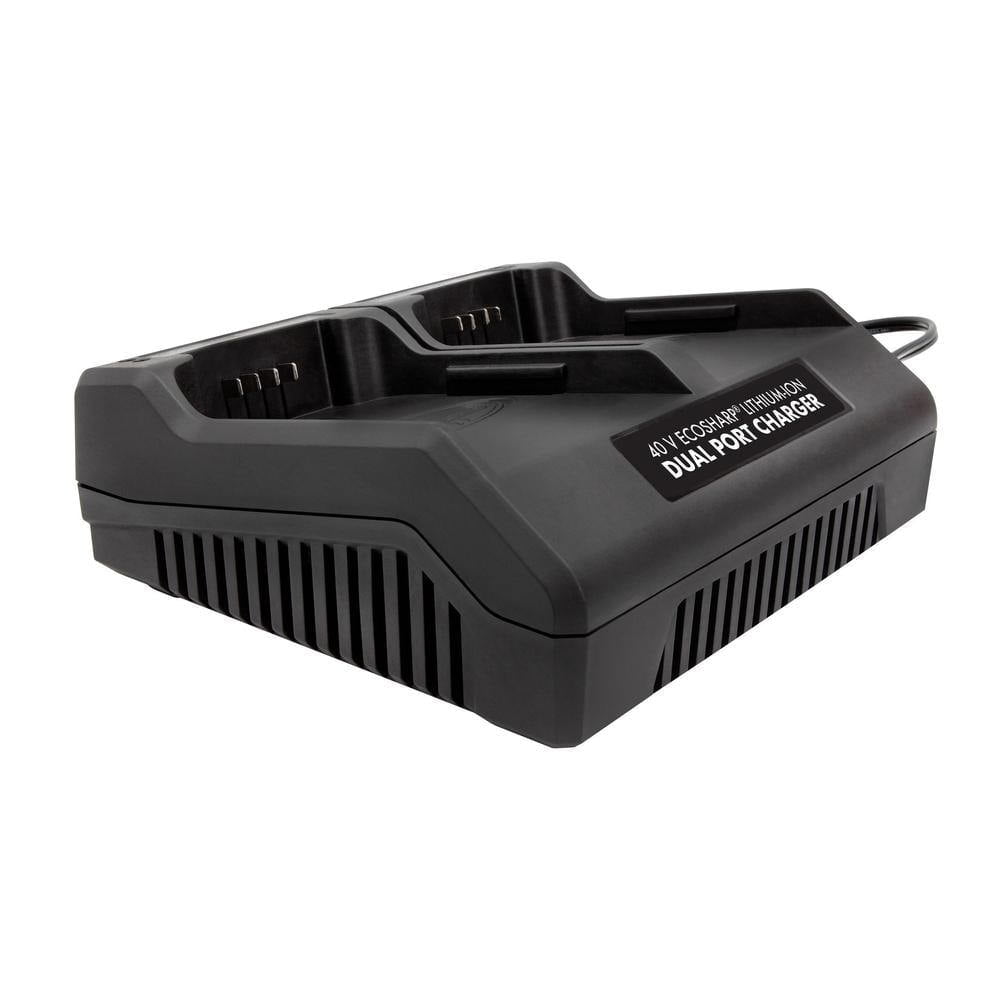 Snow Joe Dual-Port Charger, 40-Volt Lithium-Ion Battery, iONMAX Tools ...