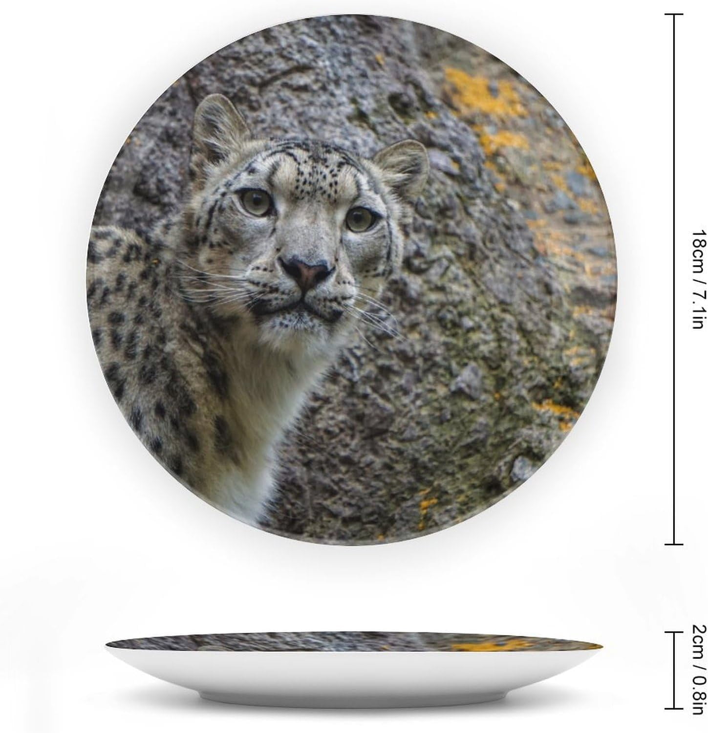 Snow Leopard Animal Decorative Plate For Kitchen Accent Wall Hanging ...