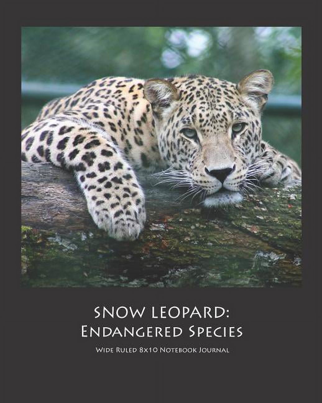 Snow Leopard: Endangered Species Wide Ruled 8x10 Notebook Journal ...