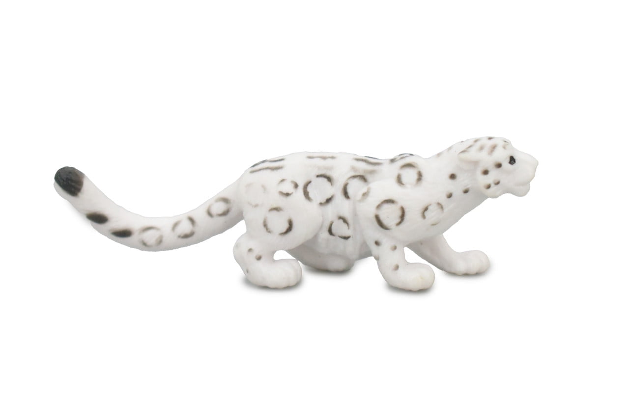 Snow Leopard, Panthera uncia, Ounce, Irbis, Hand Painted, Educational ...