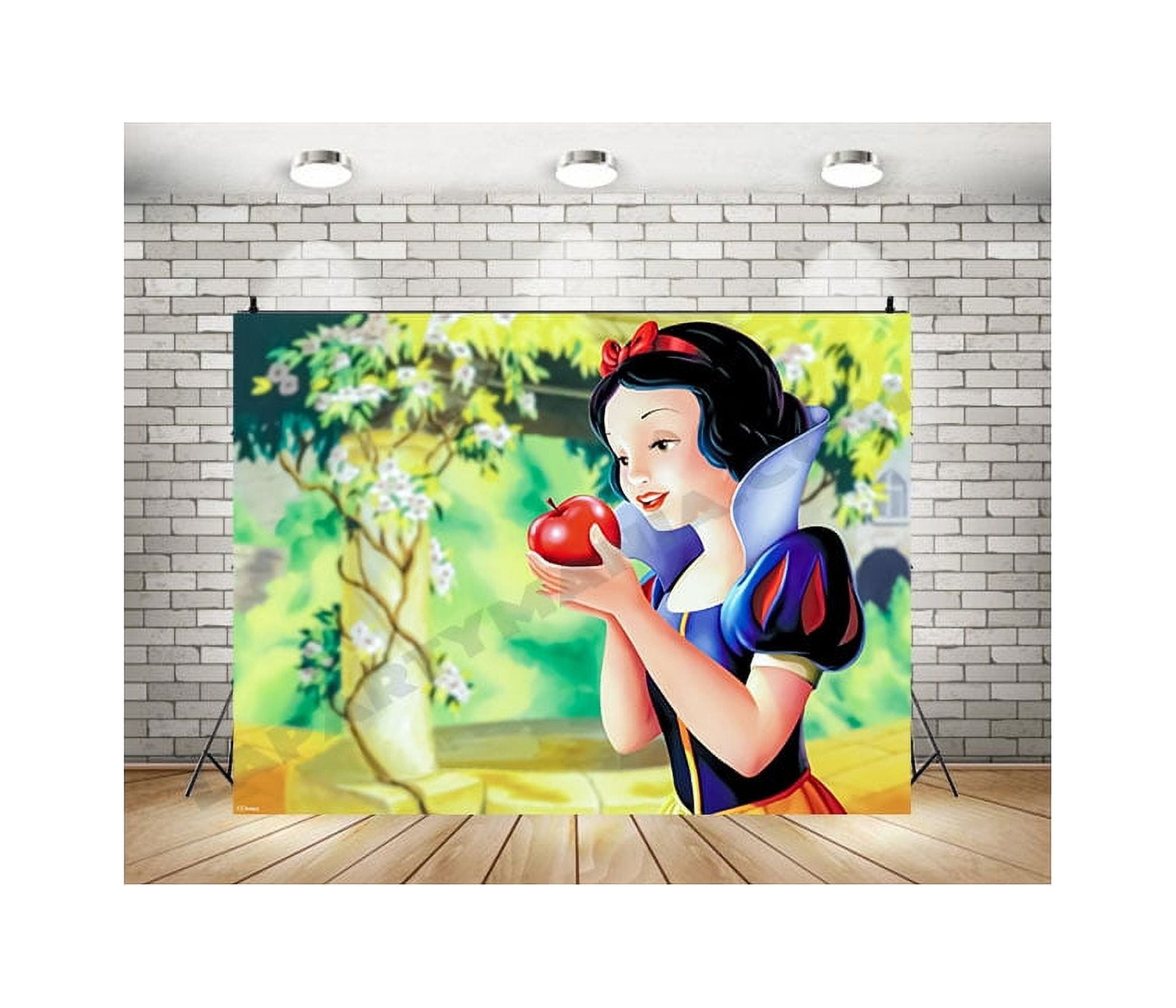 Snow White Backdrop for party decorations, 7x5ft large party theme ...