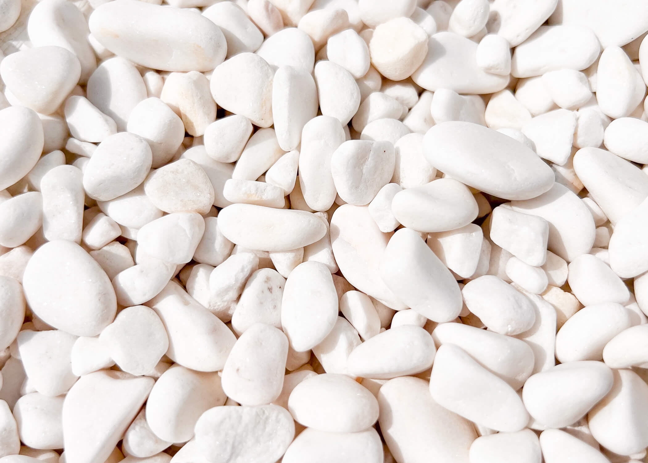 Snow White Pebbles: Ideal for Gardens, Fish Tanks , Succulents, Crafts ...