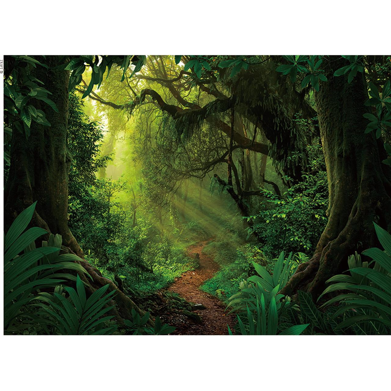 Snow Winter Forest Photography Backdrops Shrubbery Nature Scenery Ferns ...