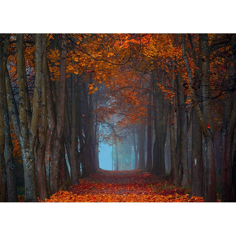 Snow Winter Forest Photography Backdrops Shrubbery Nature Scenery Ferns ...
