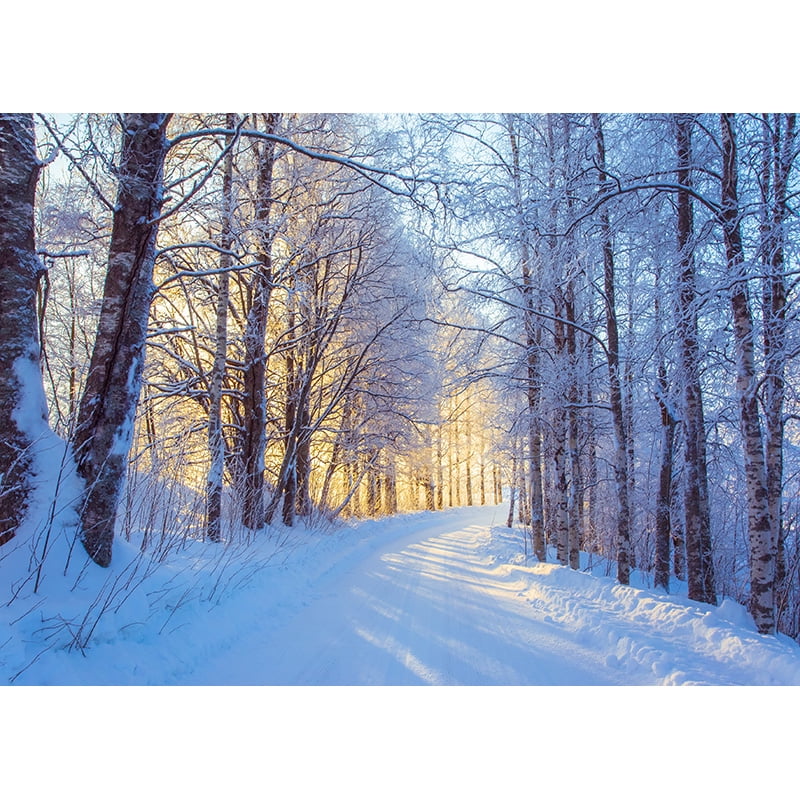 Snow Winter Forest Photography Backdrops Shrubbery Nature Scenery Ferns ...
