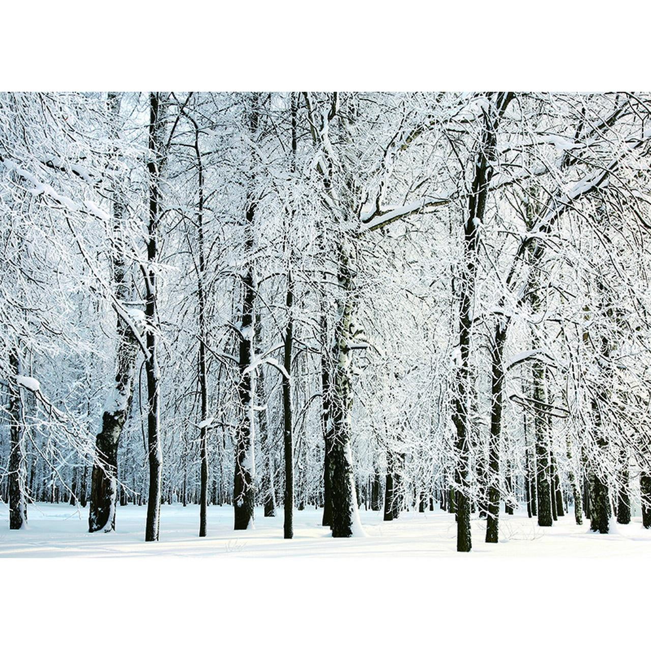 Snow Winter Forest Photography Backdrops Shrubbery Nature Scenery Ferns ...