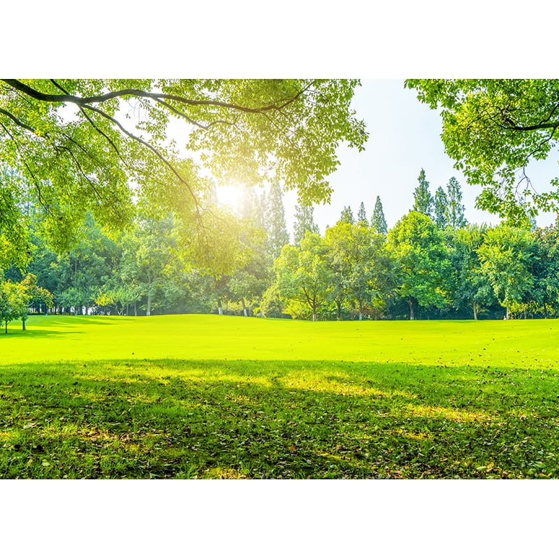 Snow Winter Forest Photography Backdrops Shrubbery Nature Scenery Ferns ...