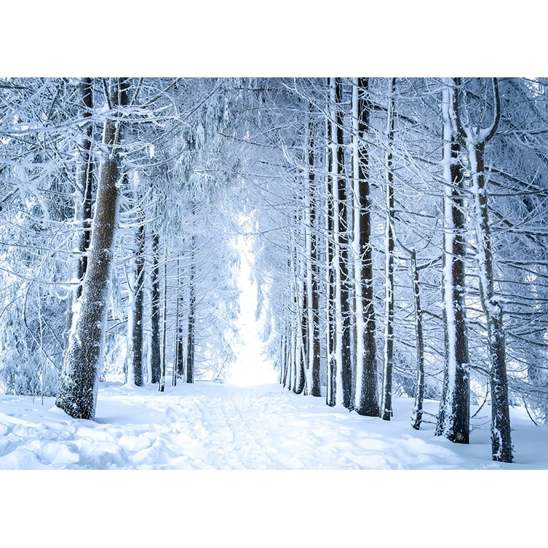 Snow Winter Forest Photography Backdrops Shrubbery Nature Scenery Ferns ...