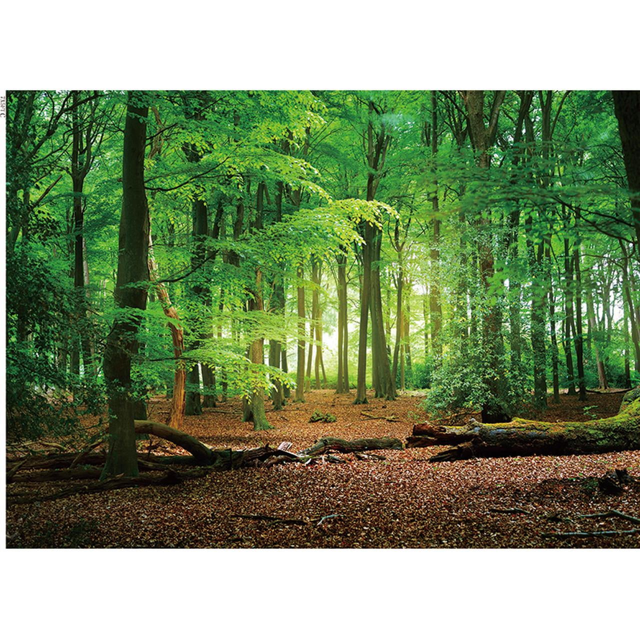 Snow Winter Forest Photography Backdrops Shrubbery Nature Scenery Ferns ...