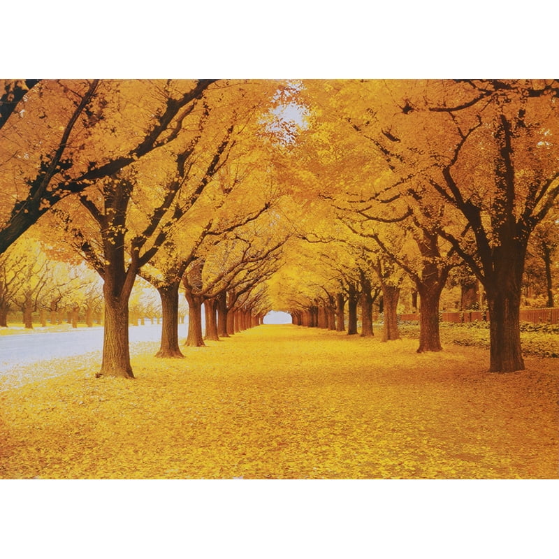 Snow Winter Forest Photography Backdrops Shrubbery Nature Scenery Ferns ...