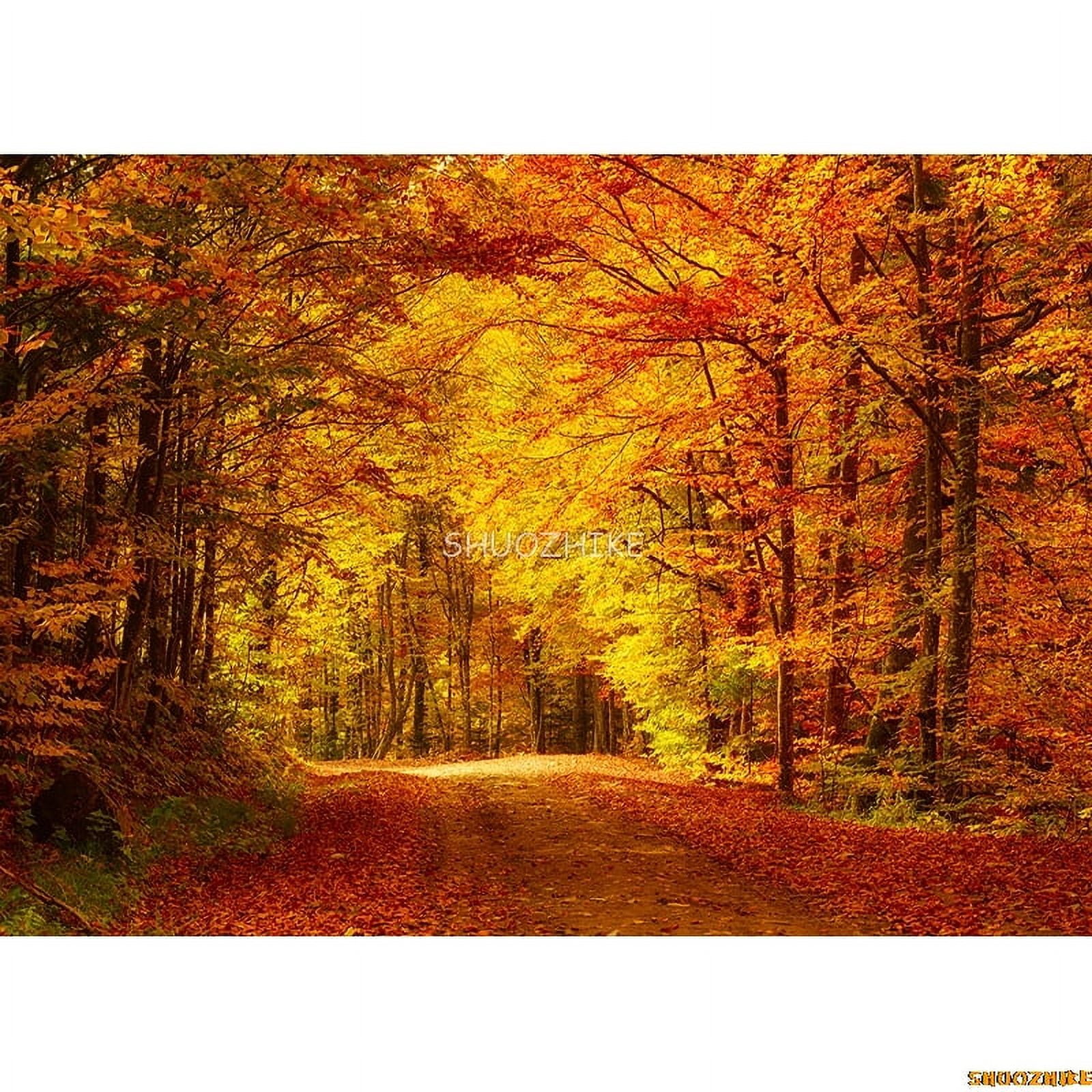 Snow Winter Forest Photography Backdrops Shrubbery Nature Scery Ferns ...