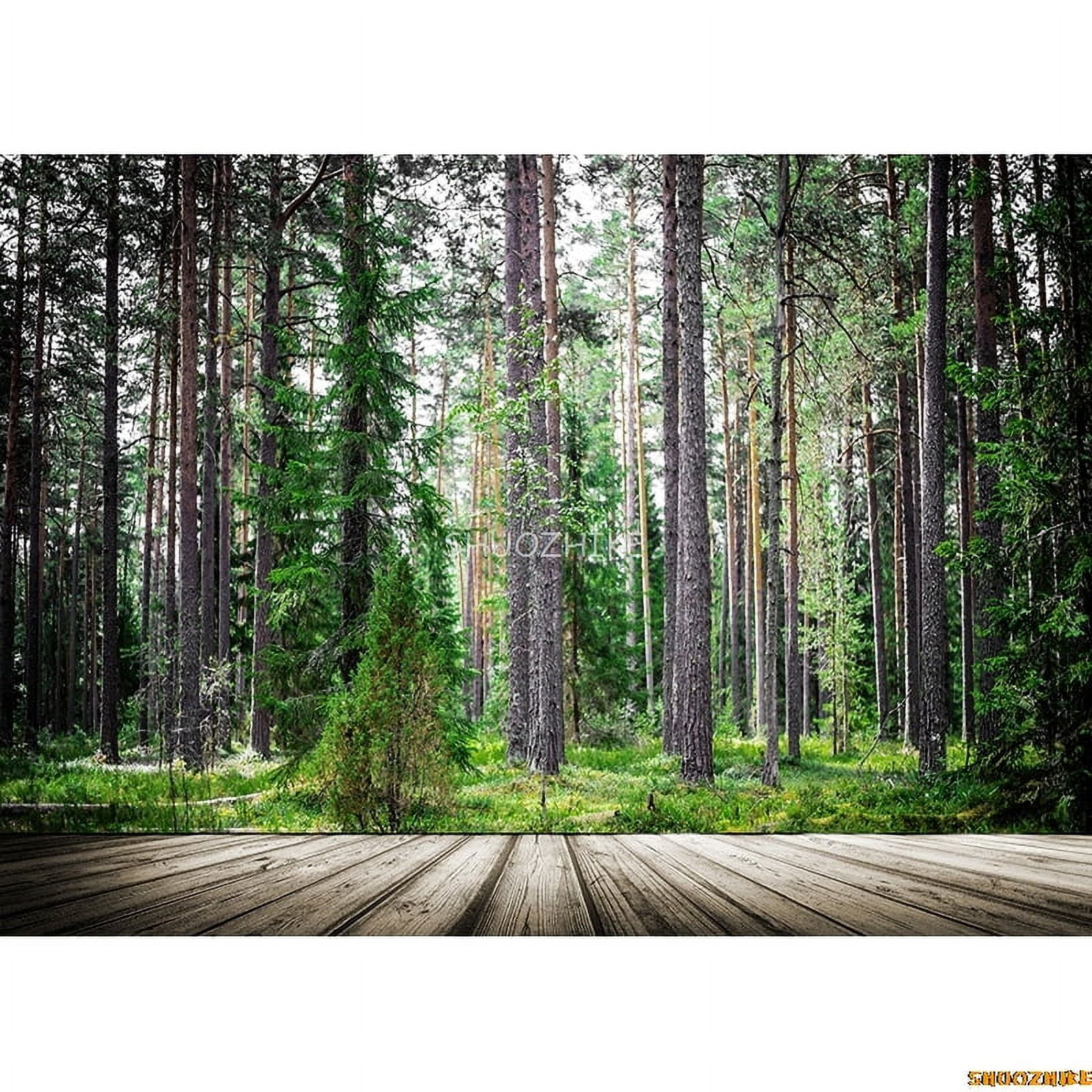 Snow Winter Forest Photography Backdrops Shrubbery Nature Scery Ferns ...
