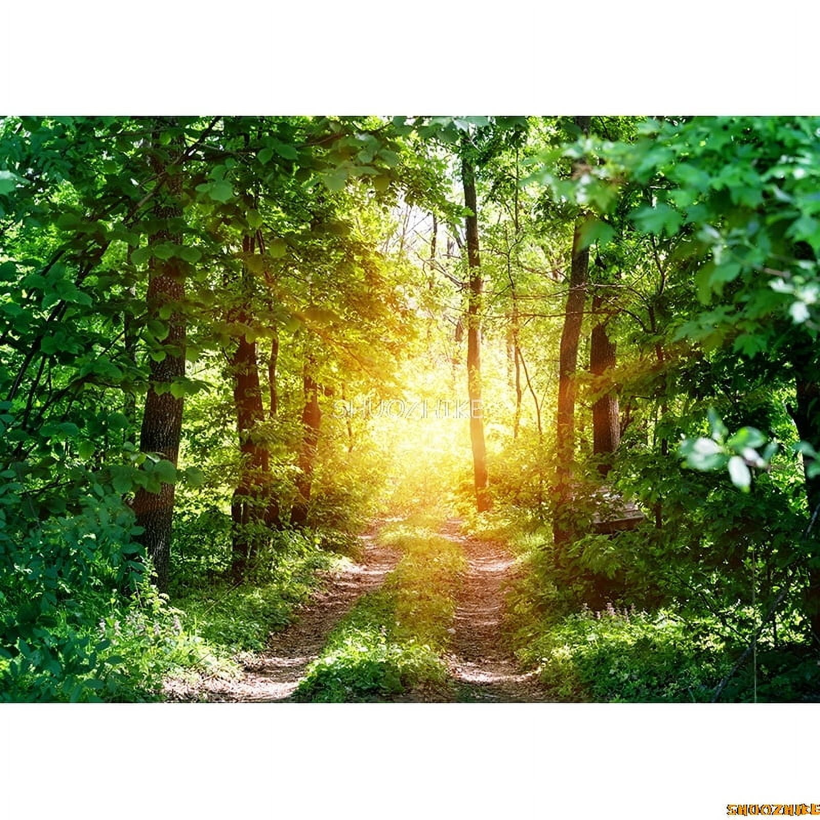 Snow Winter Forest Photography Backdrops Shrubbery Nature Scery Ferns ...