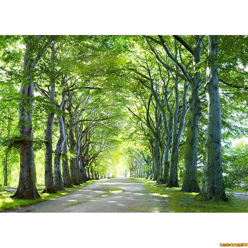 Snow Winter Forest Photography Backdrops Shrubbery Nature Scery Ferns ...