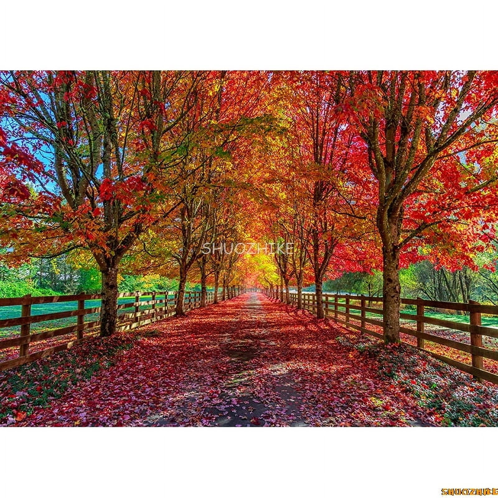 Snow Winter Forest Photography Backdrops Shrubbery Nature Scery Ferns ...