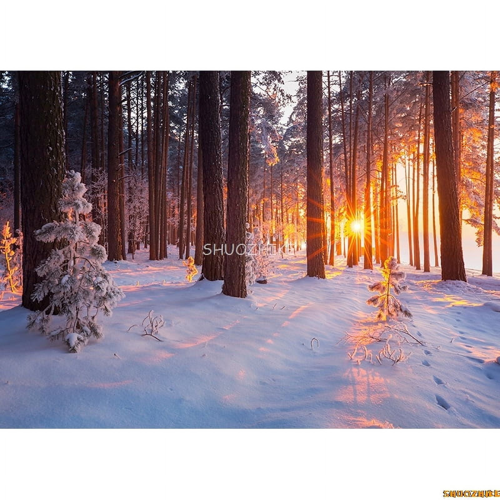 Snow Winter Forest Photography Backdrops Shrubbery Nature Scery Ferns ...