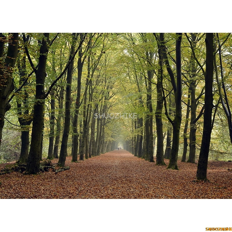 Snow Winter Forest Photography Backdrops Shrubbery Nature Scery Ferns ...