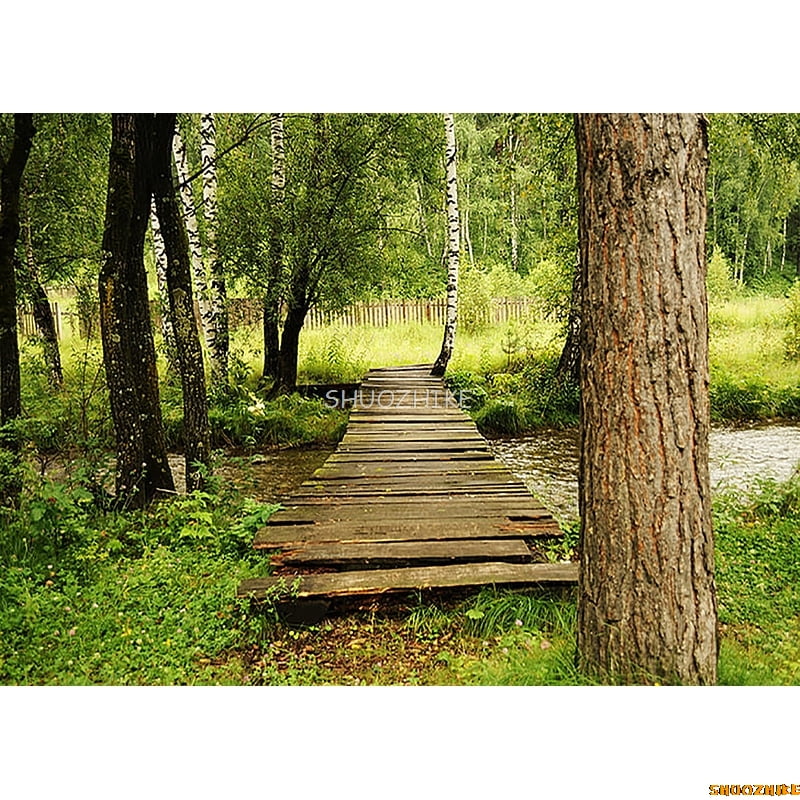 Snow Winter Forest Photography Backdrops Shrubbery Nature Scery Ferns ...