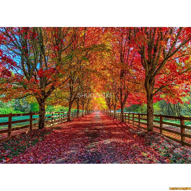 Snow Winter Forest Photography Backdrops Shrubbery Nature Scery Ferns ...