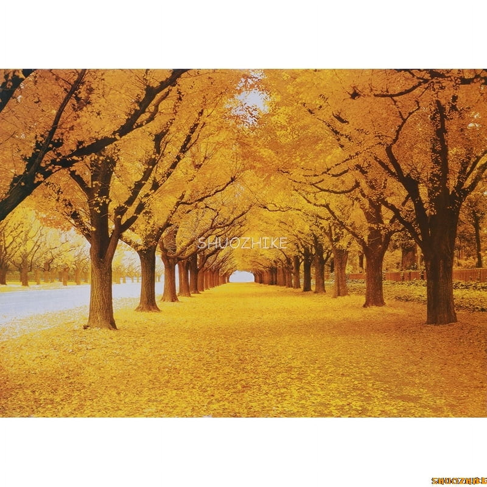 Snow Winter Forest Photography Backdrops Shrubbery Nature Scery Ferns ...