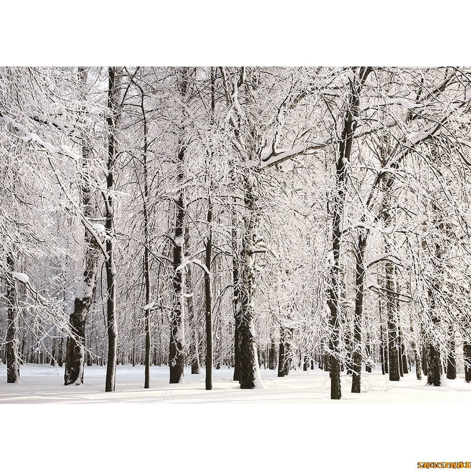Snow Winter Forest Photography Backdrops Shrubbery Nature Scery Ferns ...