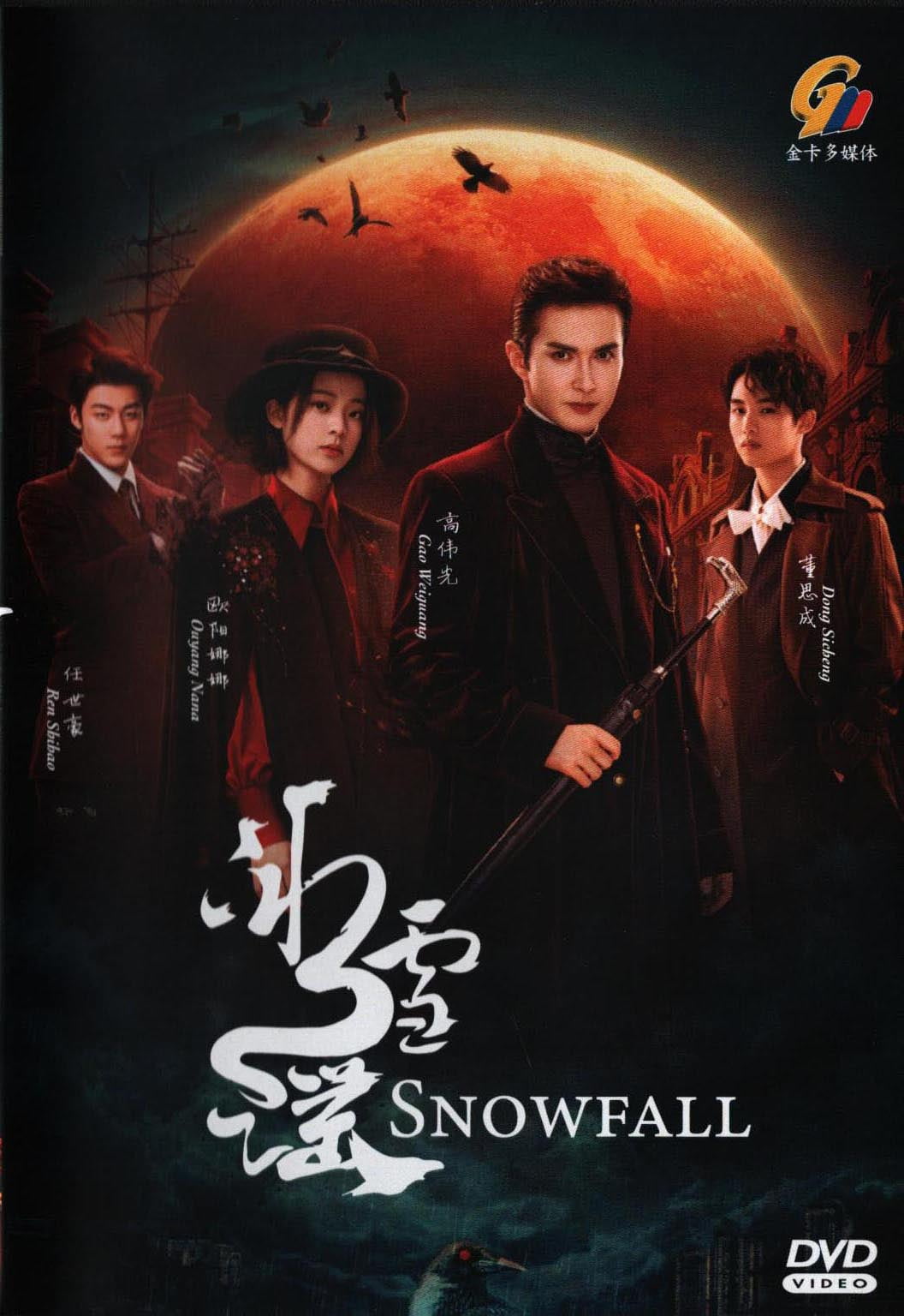 SnowFall Mandarin Drama DVD - TV Series With English Subtitles ...