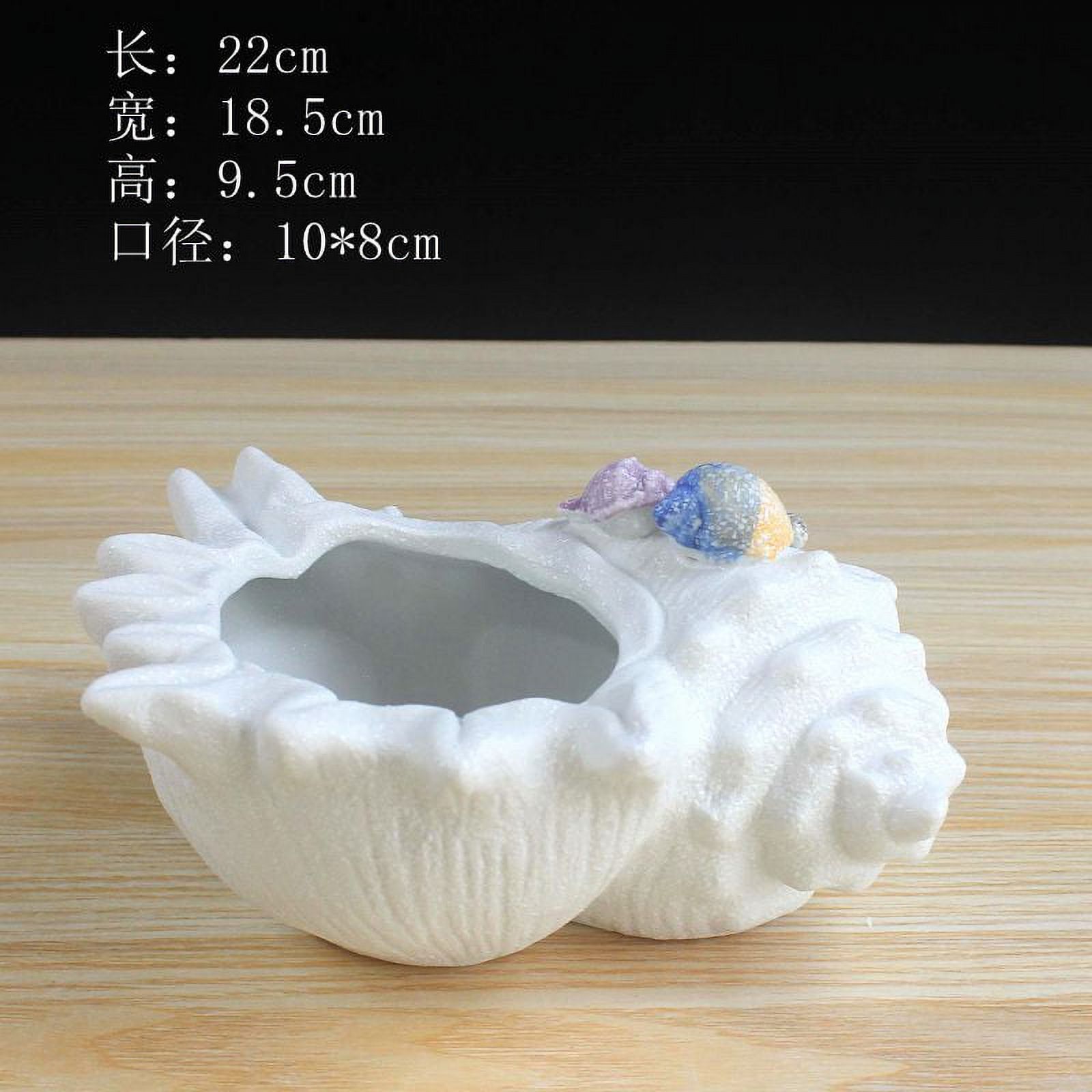 Snowflake Glazed Ceramic Conch-shaped Succulent Planter - Ocean Series ...