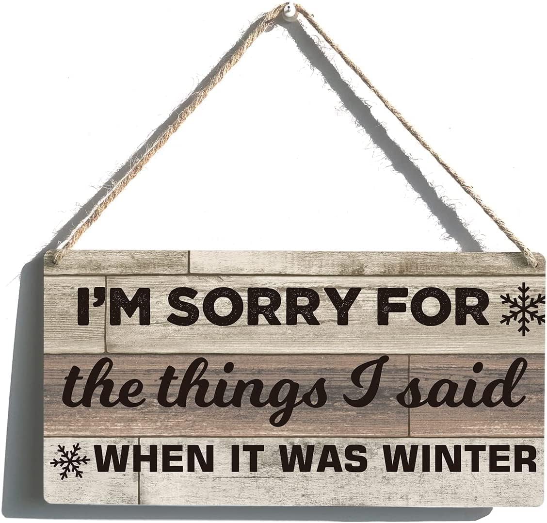 Snowflake Sign Farmhouse The Things I Said When it was Winter Wooden ...