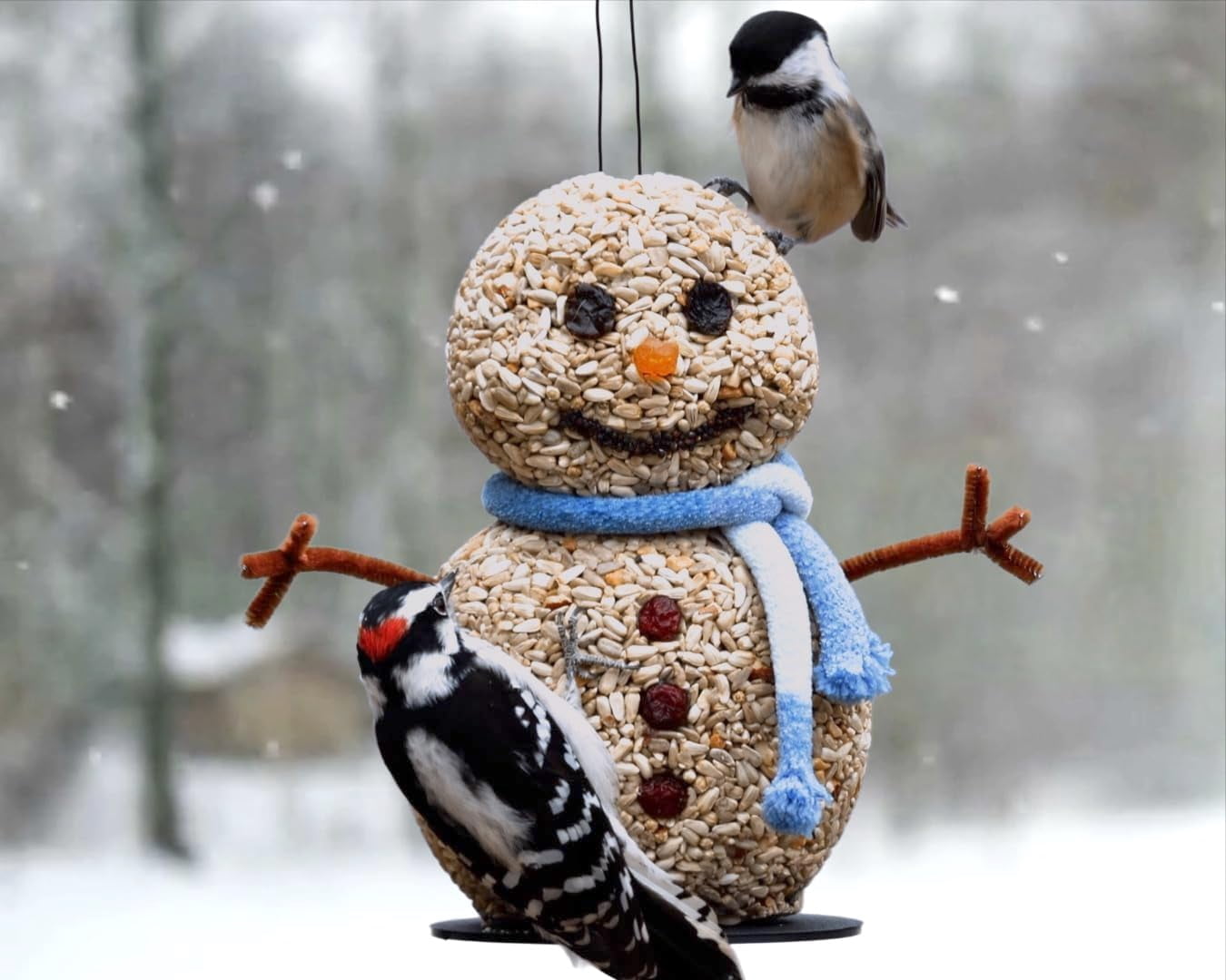 Snowman Handmade Bird Feeder - 100% Edible Compressed Seed for Wild ...