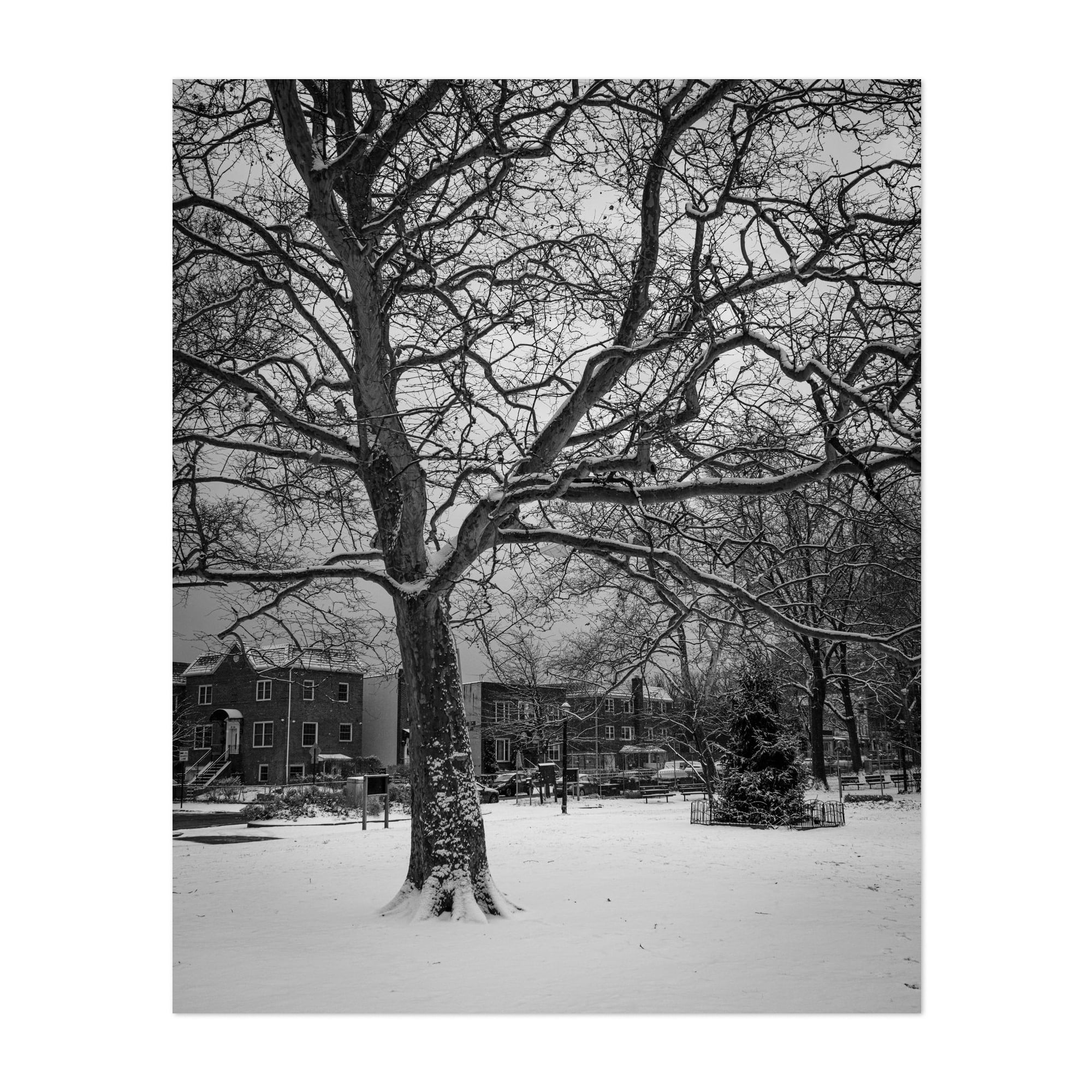 Snowy Astoria Park B&W - Queens New York Photography Black and White ...