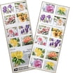 USPS Mountain Flora Forever Stamps, 20 Self-Adhesive Postage Stamps for ...