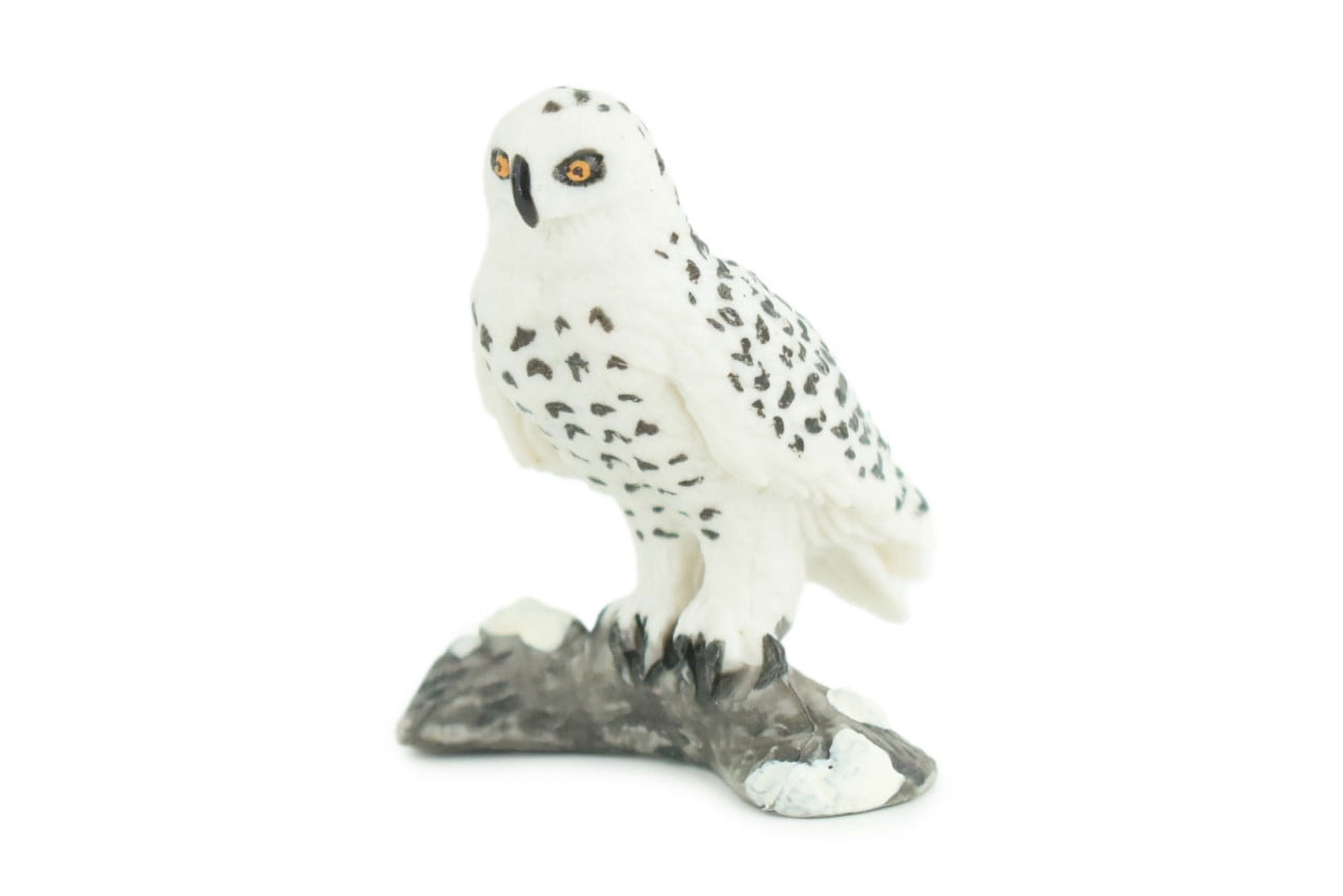Snowy Owl, Hand Painted, Museum Quality, Educational, Raptor, Realistic ...