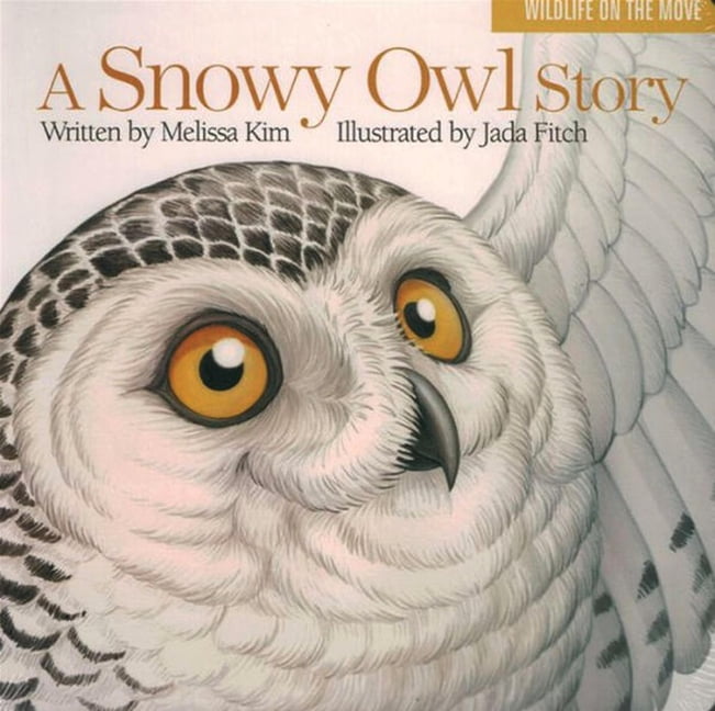 Snowy Owl Story (Board Book) - Walmart.com