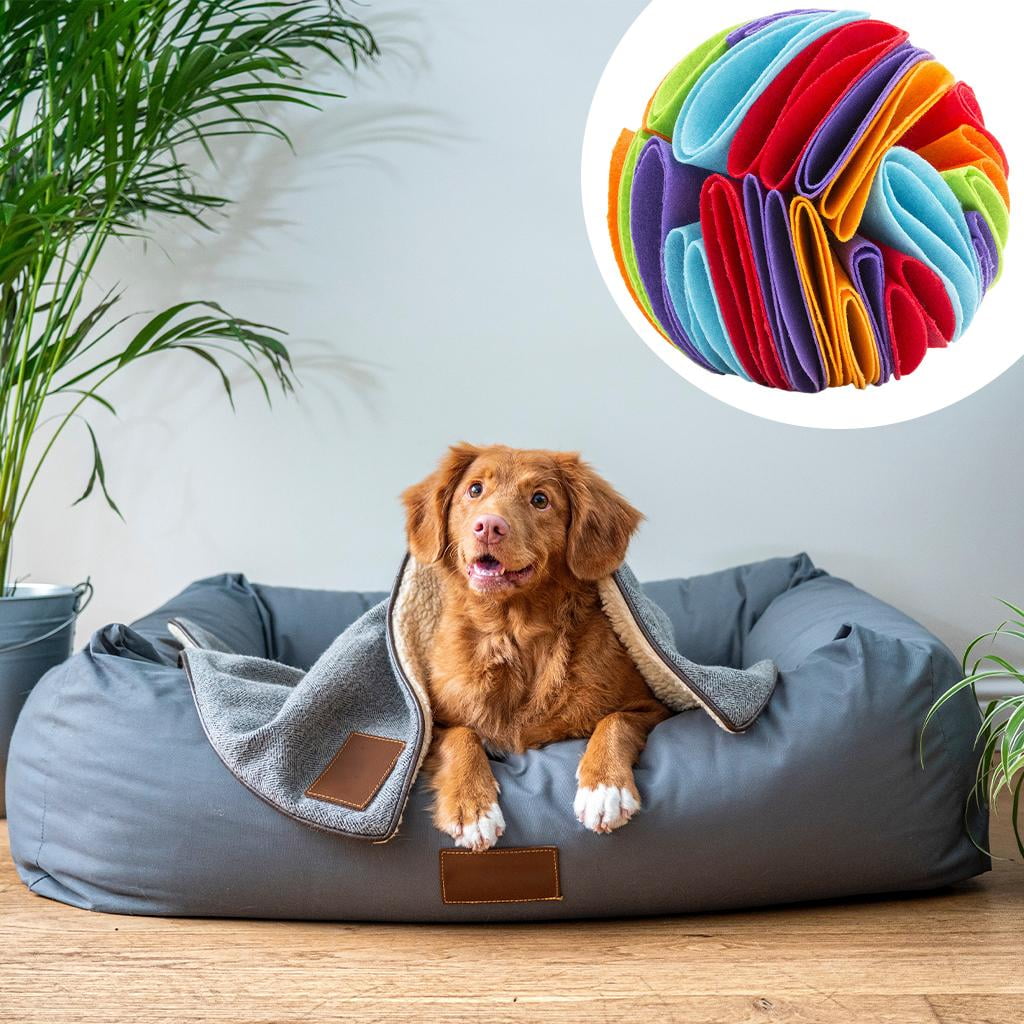 Snuffle Toy - - Walmart.com