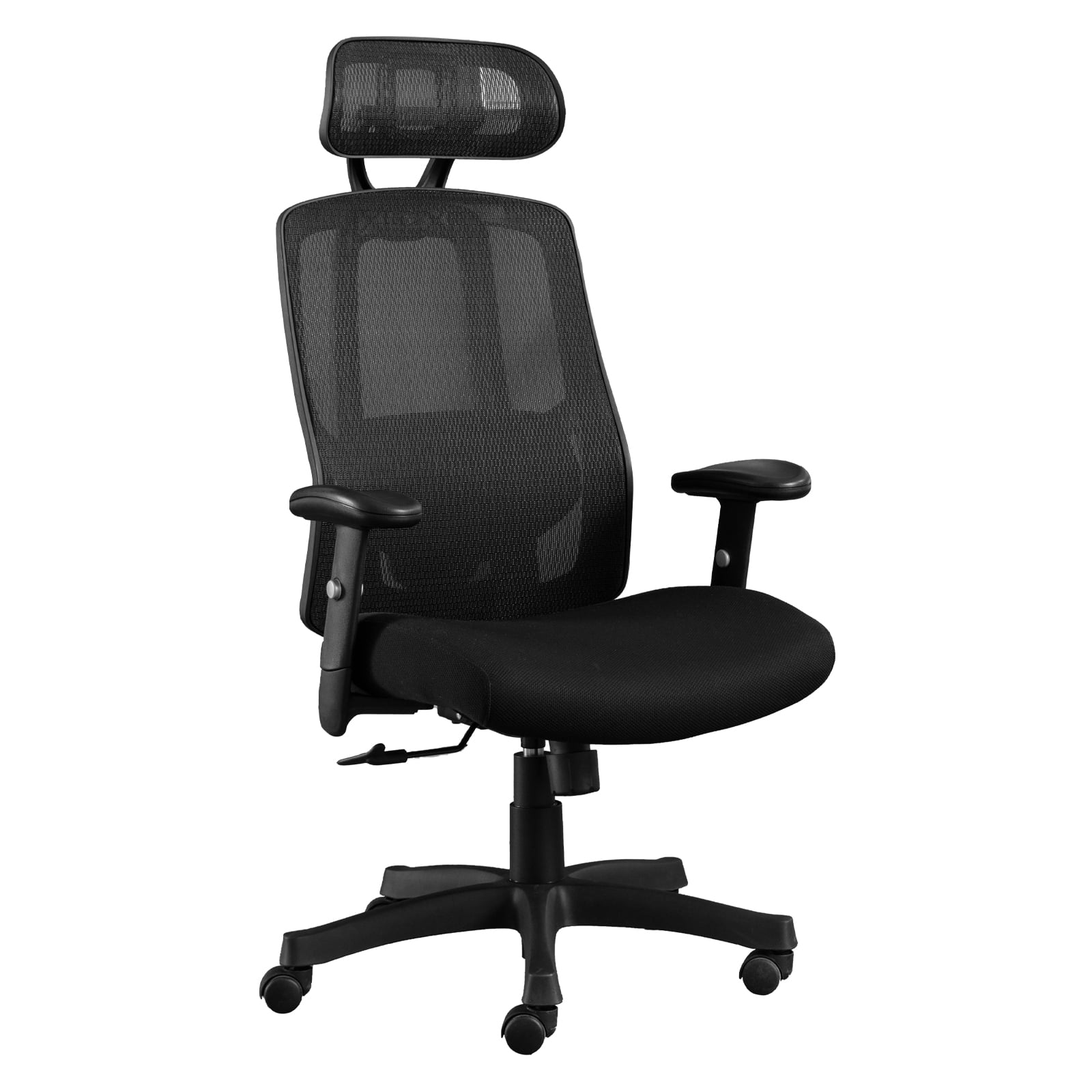 Snugway Ergonomic Office Chair High Back Mesh Computer Chair,Black ...