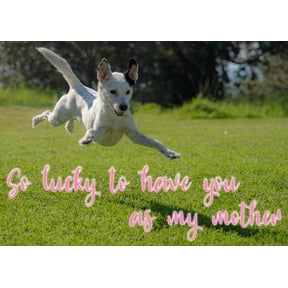 Mother's Day Greeting Cards - Walmart.com