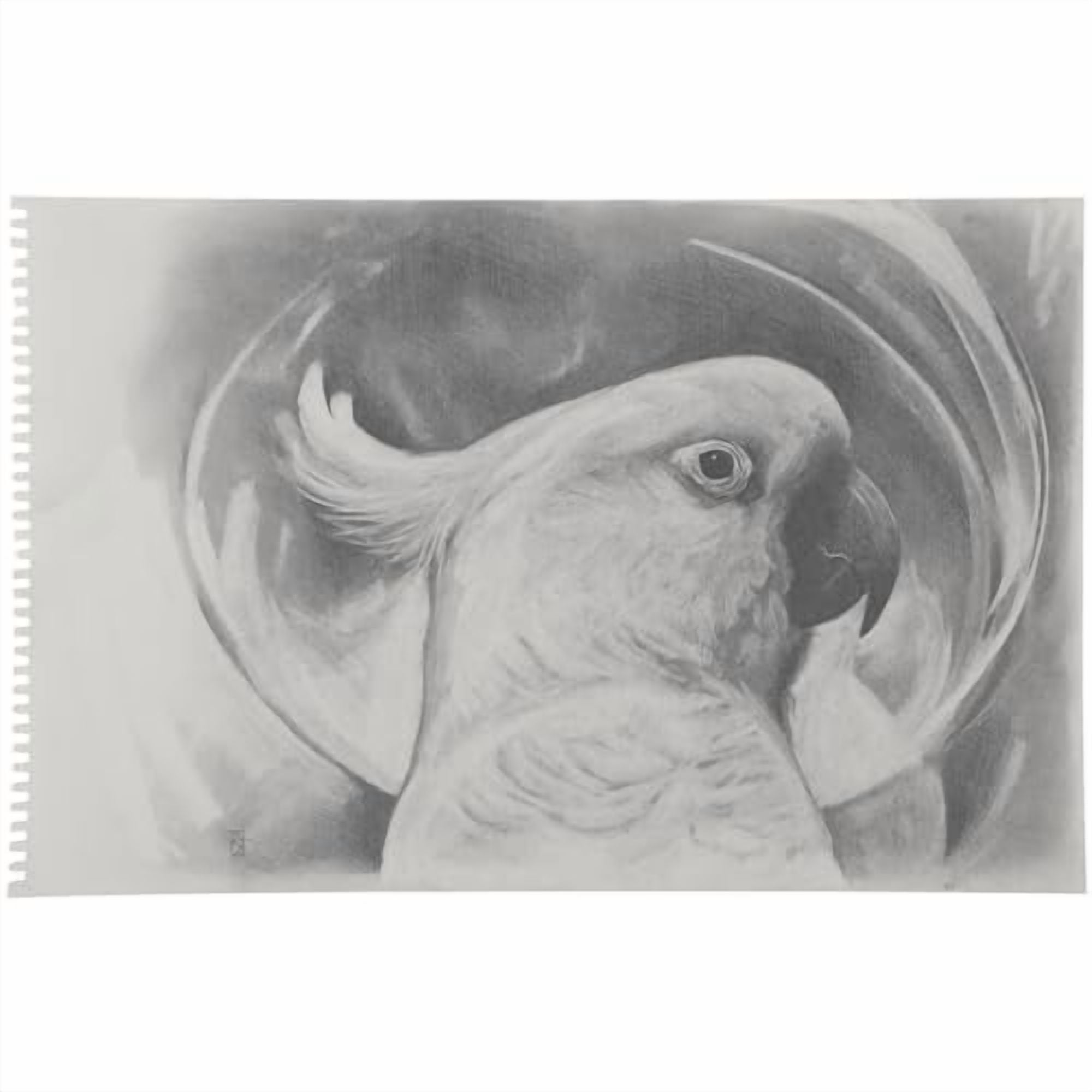 SoHo Urban Artist Graphite and Charcoal Powder (15 Gram) – Soft Shading ...