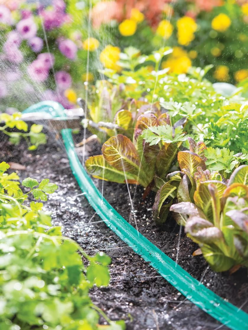 Gardener's Supply Company Soaker Sprinkler Hose 25ft, Flat Design ...