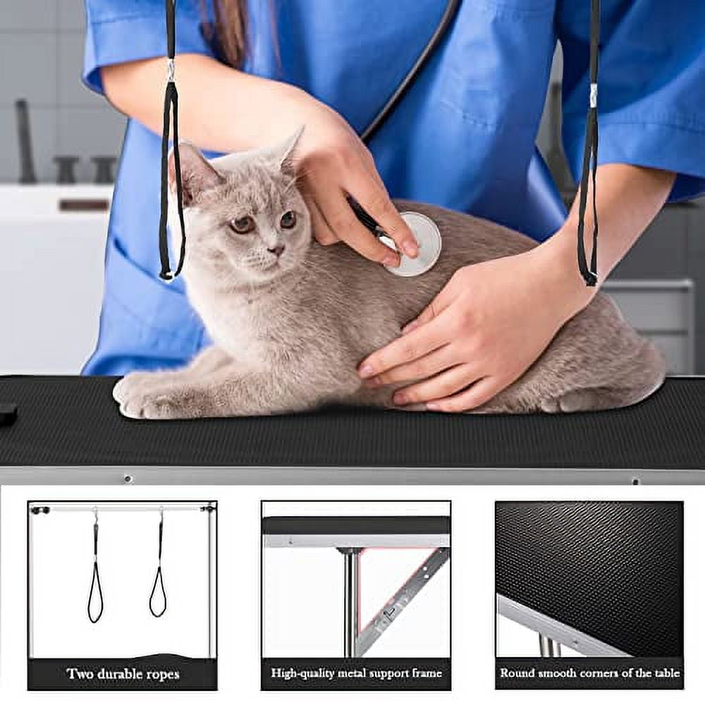 SoarFlash 49.6” Electric Lift Pet Dog Grooming Table,Heavy Duty ...