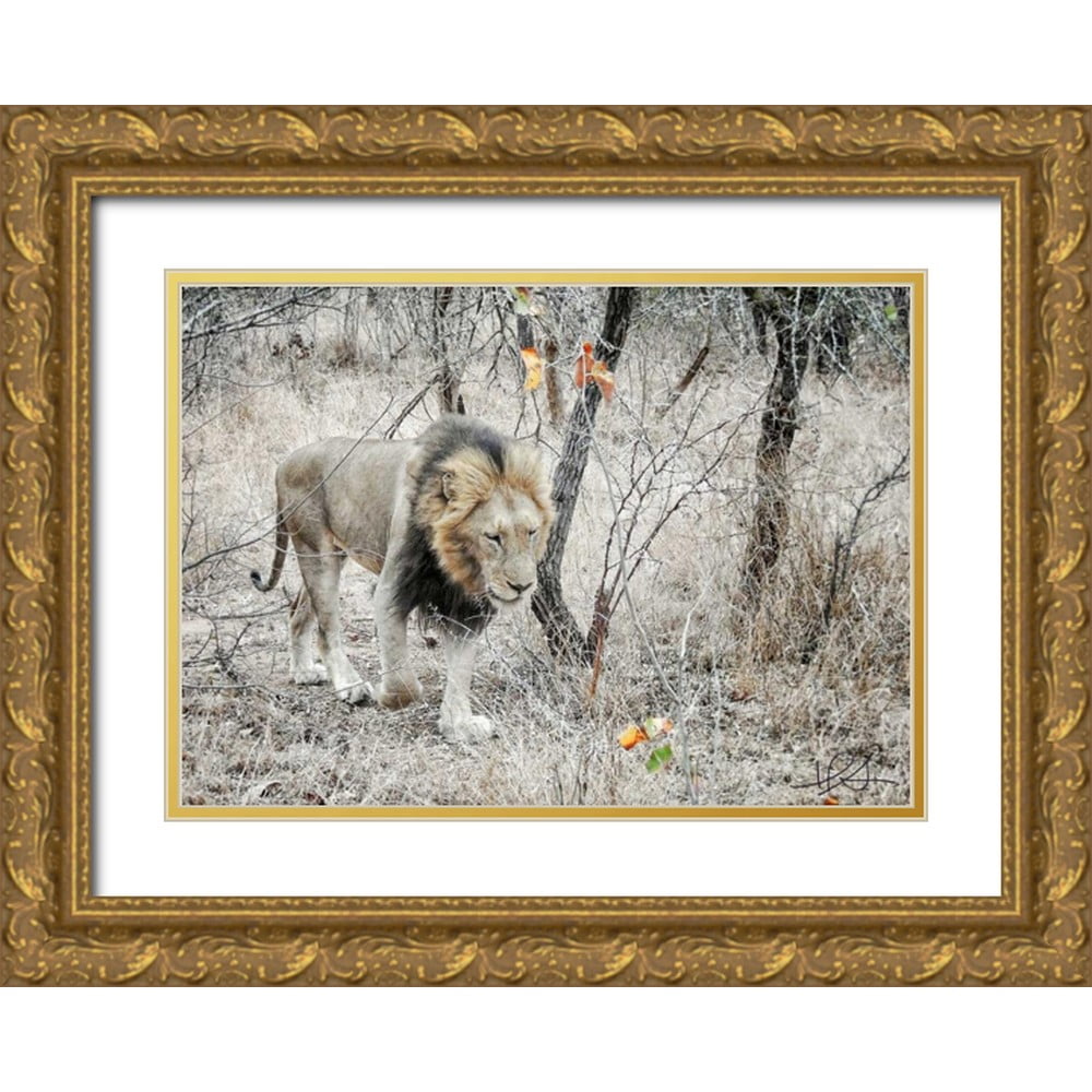 Sobol, Helene 24x18 Gold Ornate Wood Framed with Double Matting Museum ...